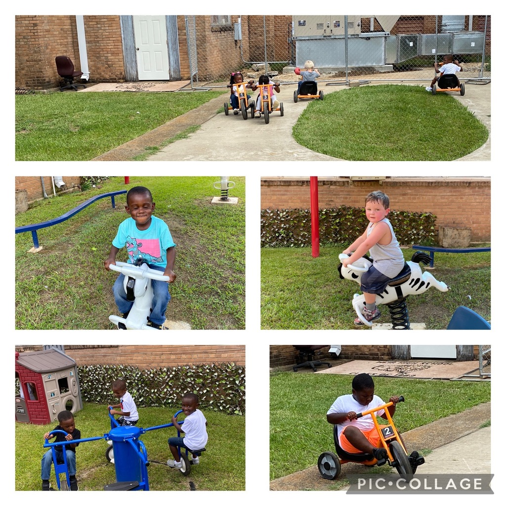 Live Feed | Choctaw County School District