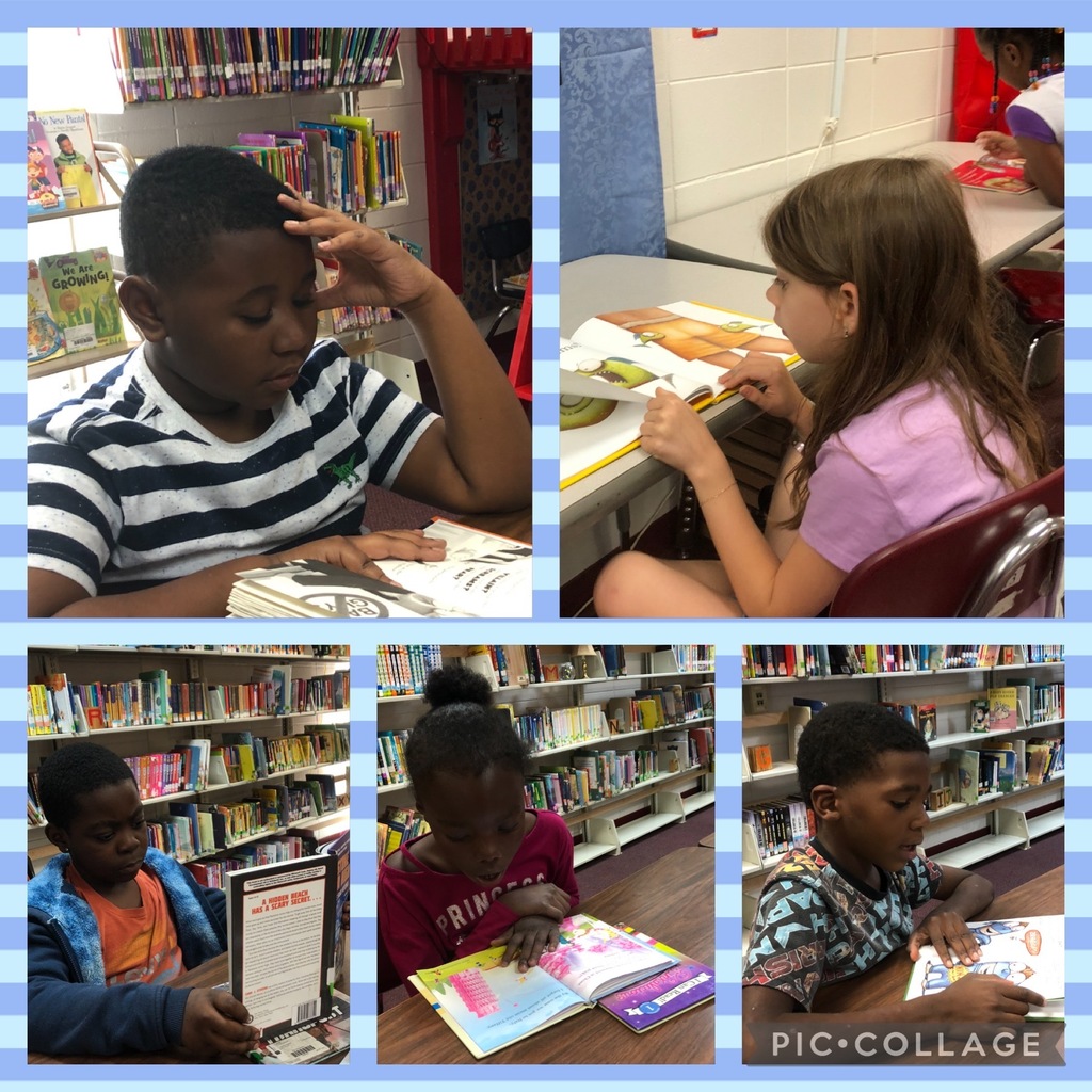 Live Feed | Weir Elementary